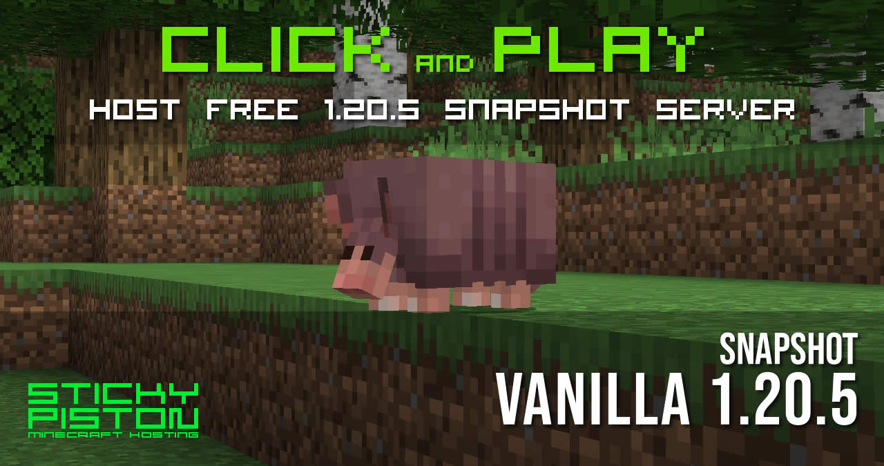 Minecraft 1.20.5 Snapshot 23w51a Server Hosting